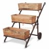 Esoteric Indian Hand-Cart Display – Hospitality Displays | FurnitureRoots